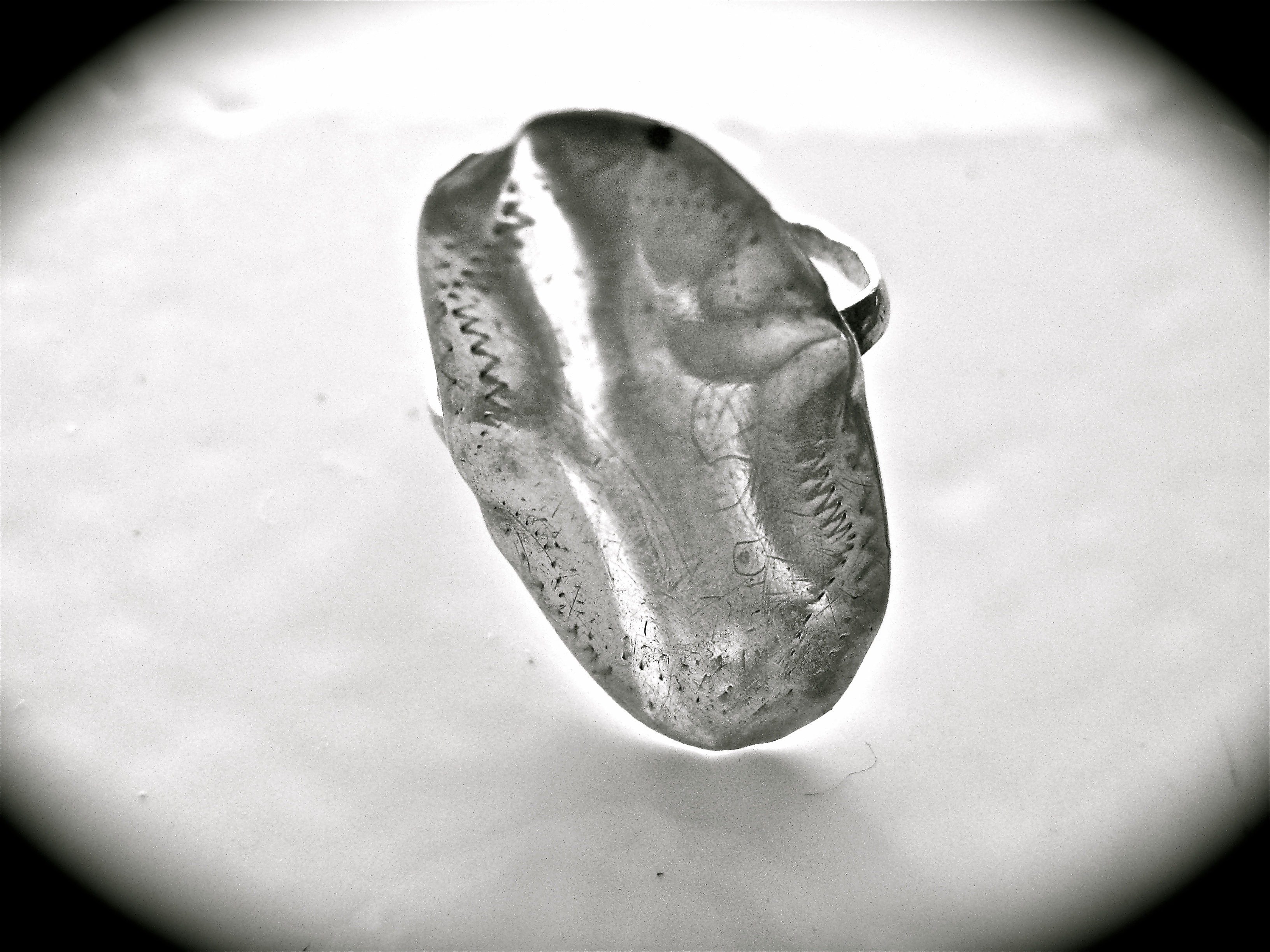 Fur Trade Silver | TreasureNet.com