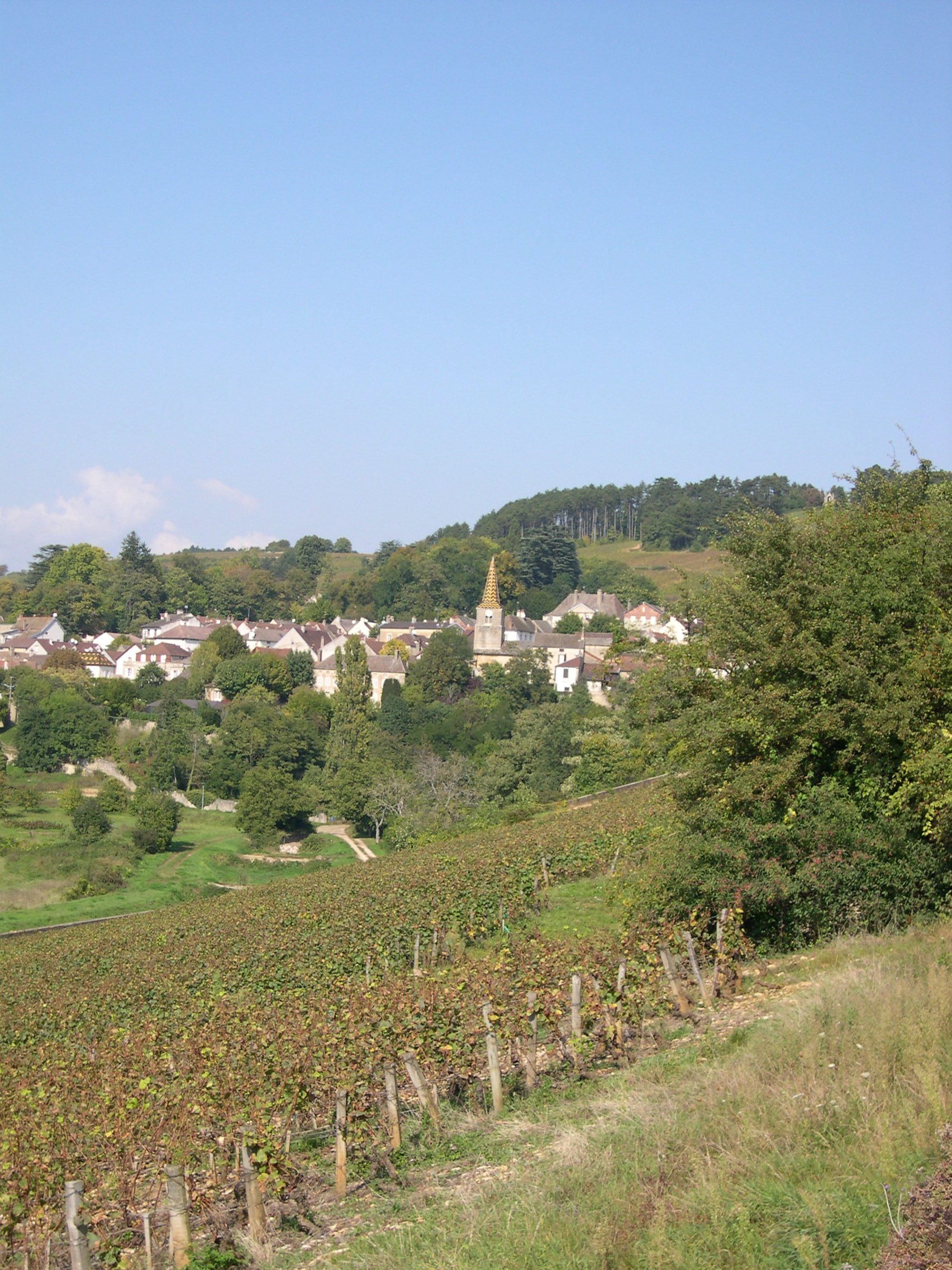 Tour de la butte Corton