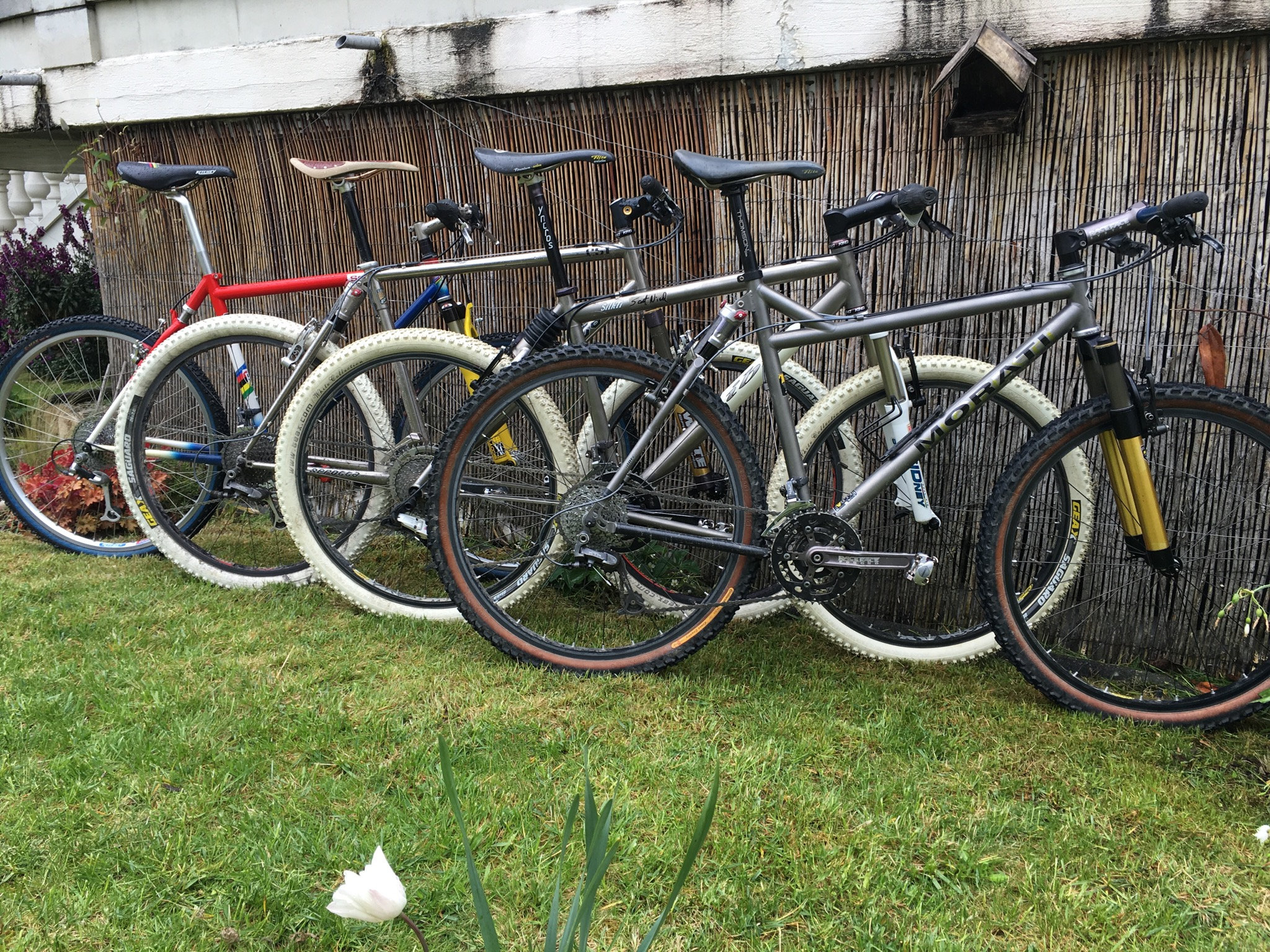 SofTail comparative - Morati - Ibis - Serotta - Ritchey | Retrobike