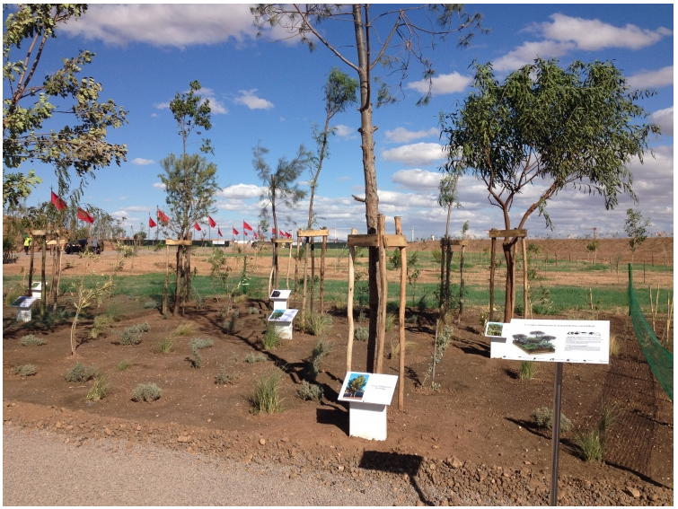 BENGUERIR | La Ville Verte Mohammed VI | 635ha | 23.000 housings | 90. ...