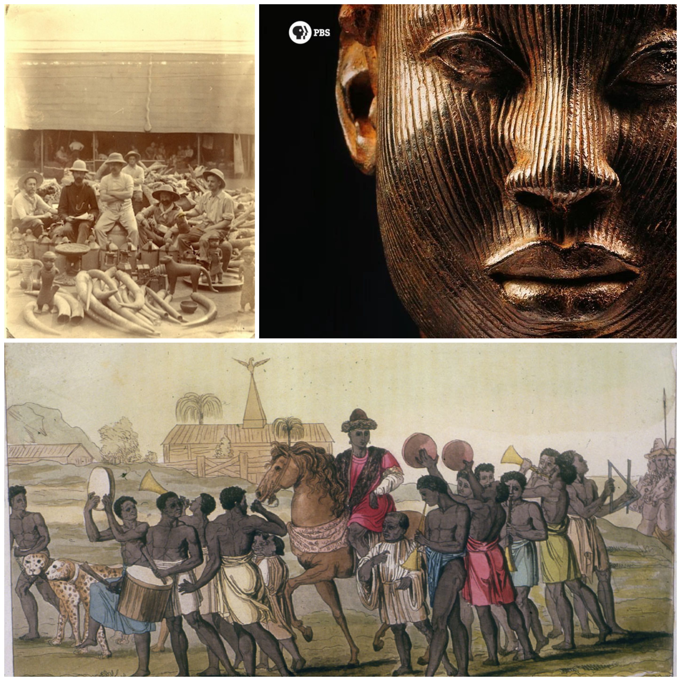 The Oba Kingdom - Carnivora