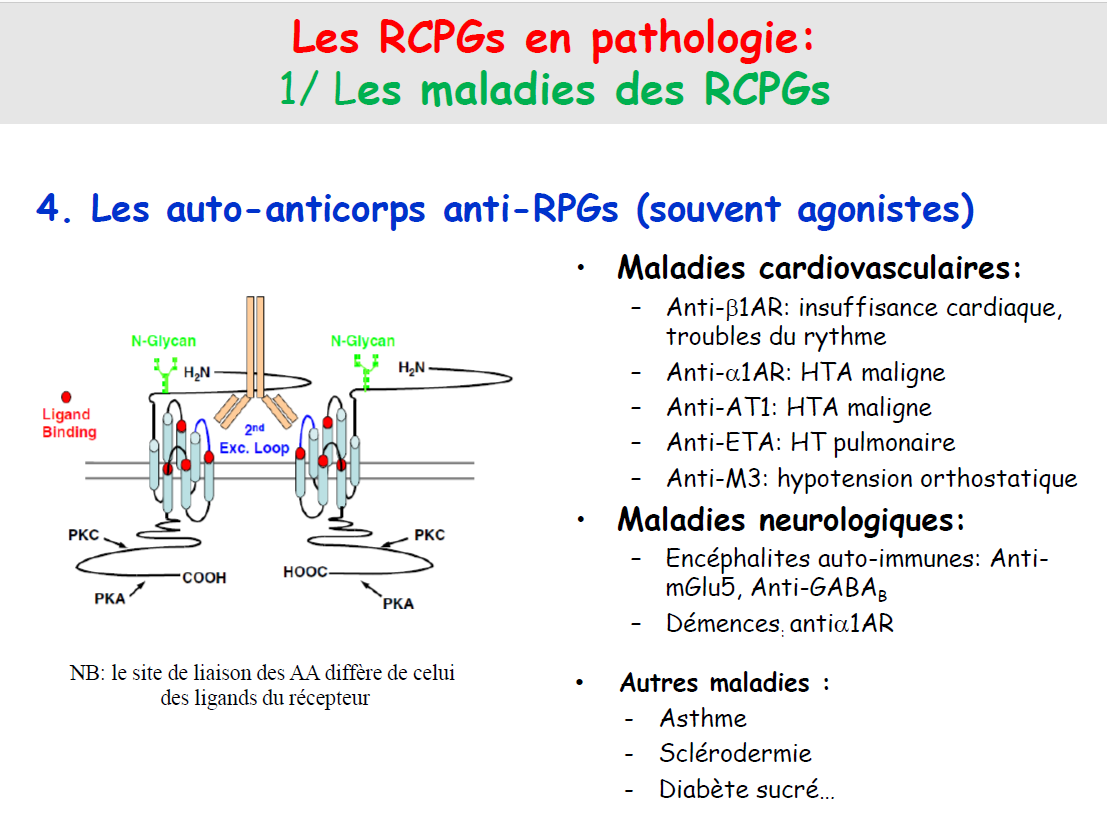 RCPG questions - UE6 ICM - Tutorat Associatif Toulousain