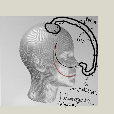 Partage d'expérience sur la technique indirecte de Michael Raduga ...