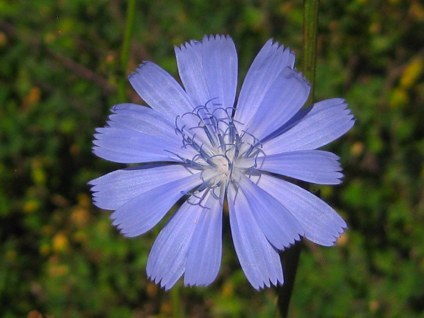 Moments de vie - Page 165