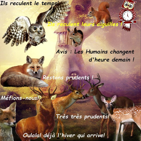 Attention : Petit rappel important