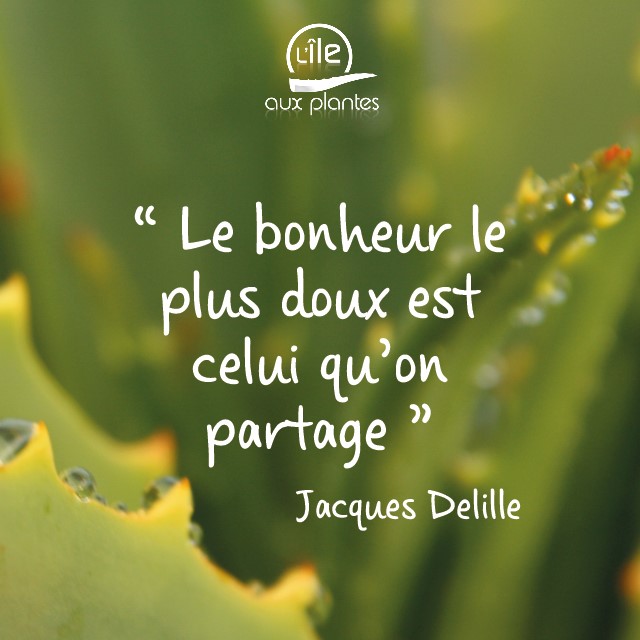 Beaux messages à partager 71