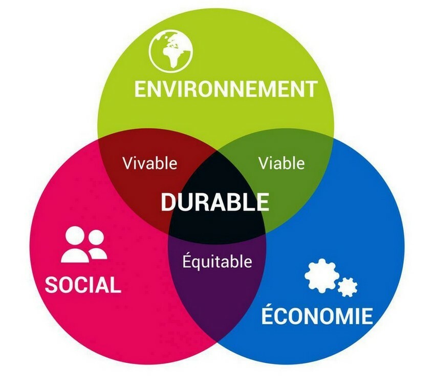 La démarche RSE : le pilier environnemental
