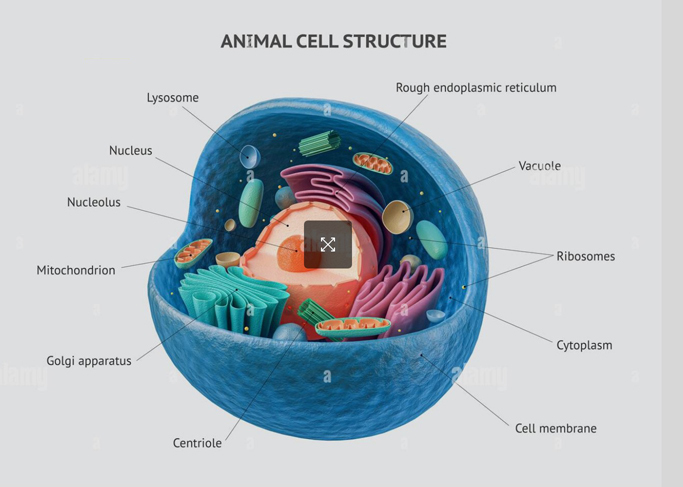 texturing - How to make this render more realistic (Cell Material ...