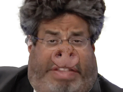 Mayer Habib - Porc - Conseiller et Complice du boucher de Gaza